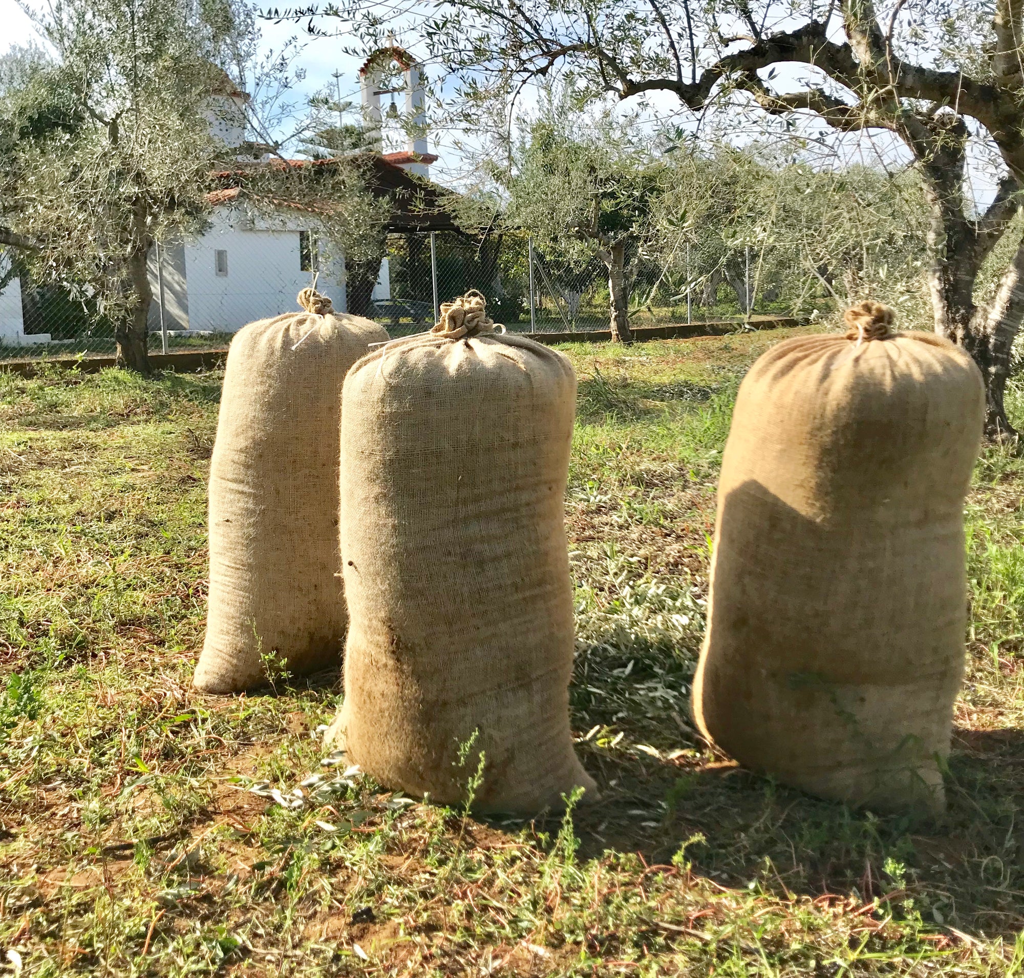 Our Story – Little Gypsy Farms