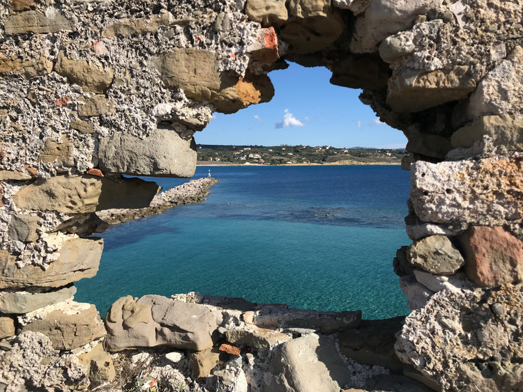 Our Story – Little Gypsy Farms