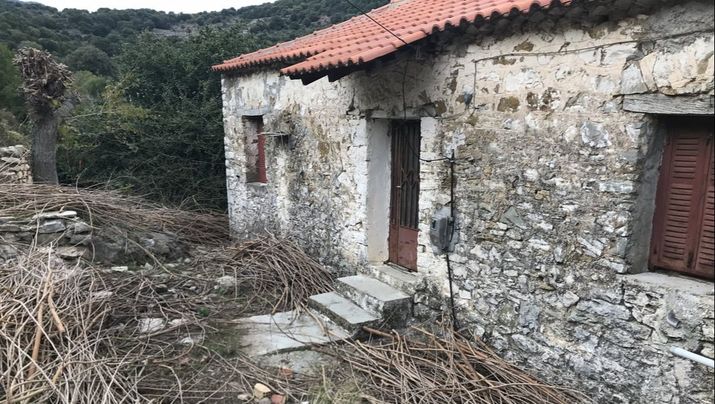 Our Story – Little Gypsy Farms